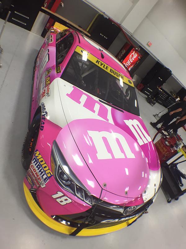 2015 NASCAR Sprint Cup Series Paint Schemes - Team #18 - Jayski's ...