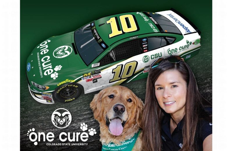 2017 #10 Cup team paint schemes - Jayski's NASCAR Silly Season Site