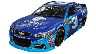 2017 #31 Cup team paint schemes - Jayski's NASCAR Silly Season Site