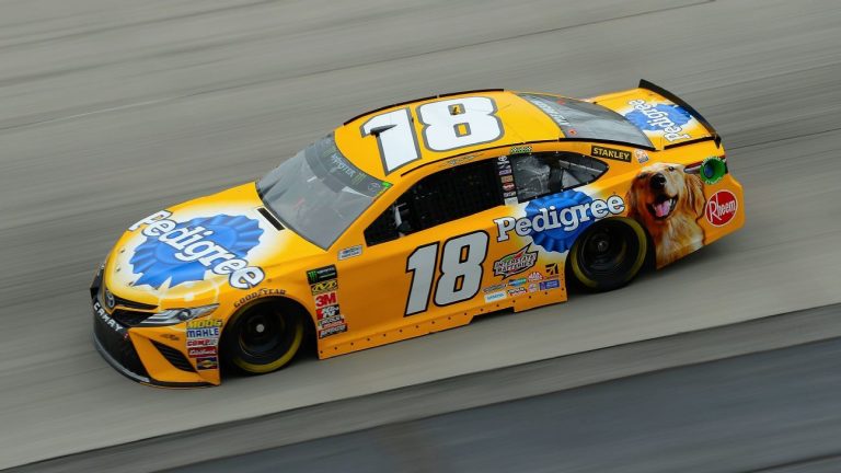 2018 #18 Cup paint schemes - Jayski's NASCAR Silly Season Site