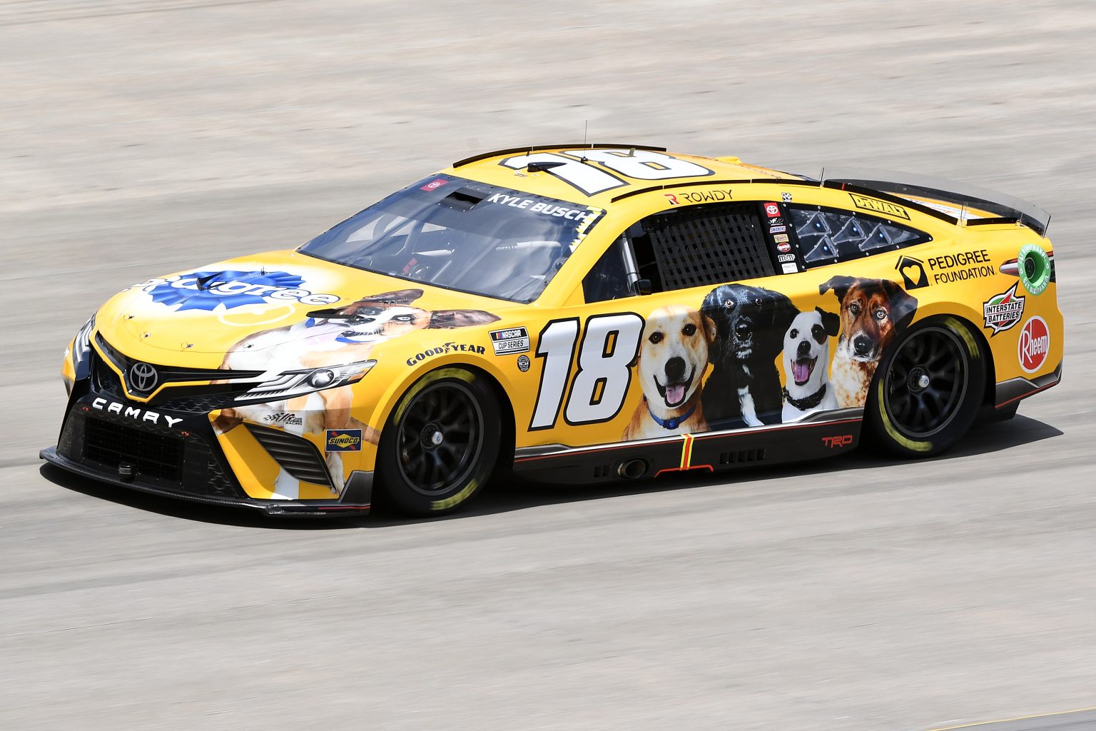 2022 #18 Joe Gibbs Racing paint schemes - Jayski's NASCAR Silly Season Site